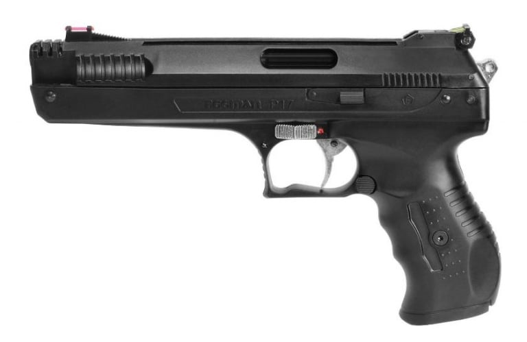 5 Best Pellet Guns for Squirrel Hunting (Beginners’ Ultimate Guide ...