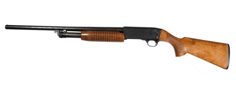 5 Best Shotgun for Squirrel Hunting (Beginners’ Ultimate Guide ...