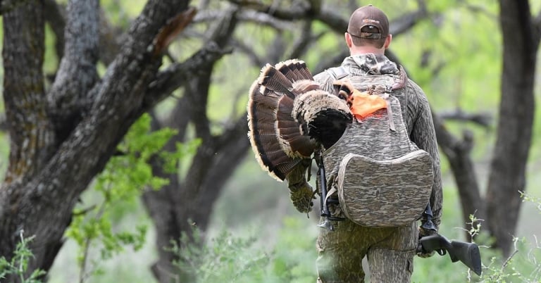 Complete Scenario Helping You Out While Turkey Hunting With 20 Gauge ...