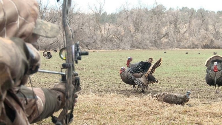 Spotting Where To Shoot A Turkey While On A Successful Hunt - May.2026