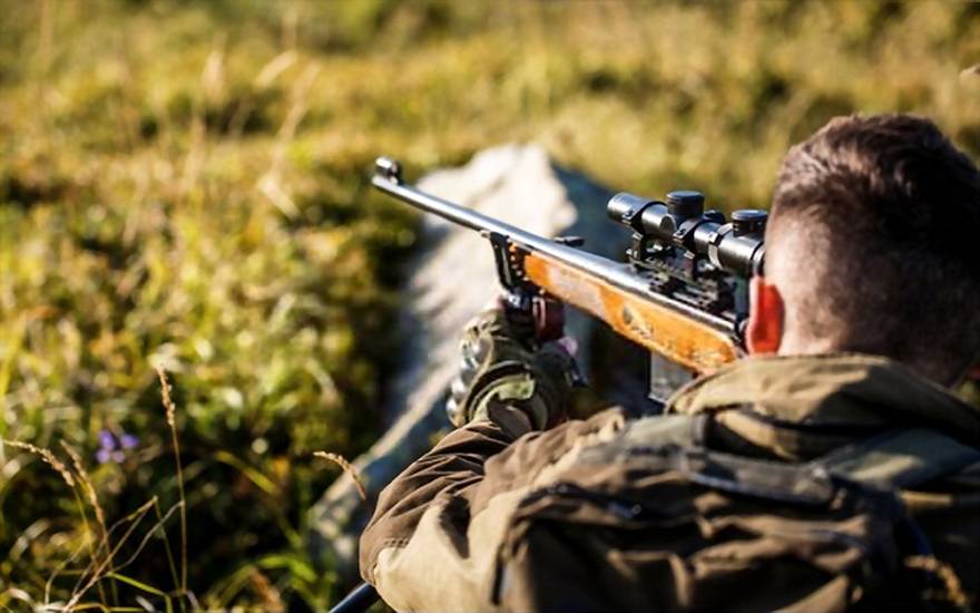 Which Rifle Is The Best Choice For Hunting In The Woods? - September.2025