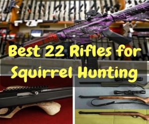 5 Best Pellet Guns for Squirrel Hunting (Beginners’ Ultimate Guide ...