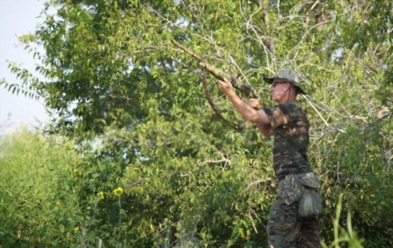 What To Wear For Dove Hunting: Essential Tips For Beginners - December.2025