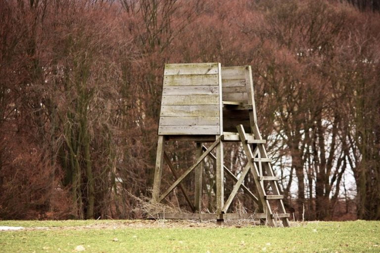 What Are The Disadvantages Of Hunting From An Elevated Stand? - May.2026