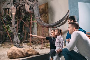 A Comprehensive Guide To Starting A Bone Collection - May.2026