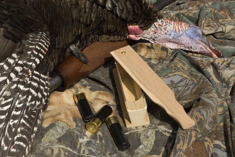 Turkey Hunting 101: Choosing the Right Shotgun - June.2026