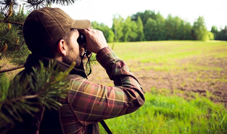 What Are The Disadvantages Of Hunting From An Elevated Stand? - March.2026