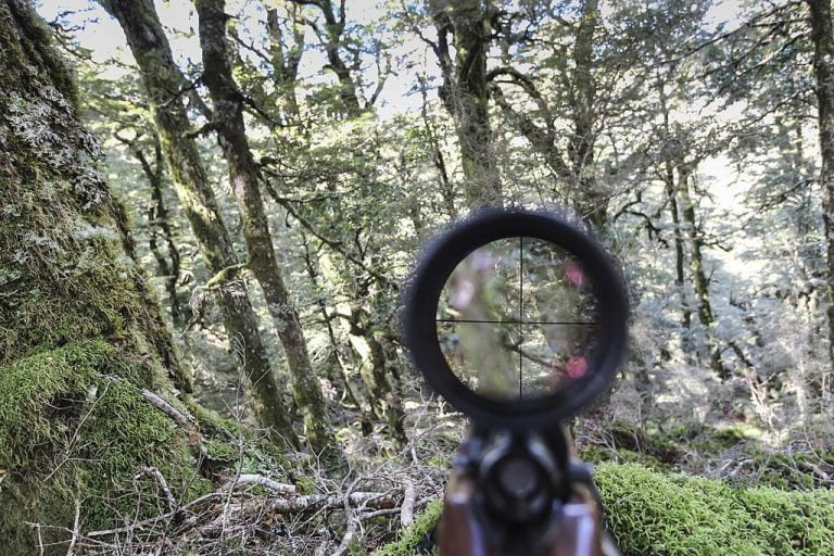 Tips To Improve Your AR-15 Shooting Skills While Hunting - March.2025