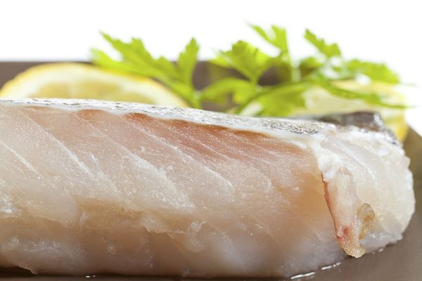 Are Tarpon Fish Good To Eat? - December.2025