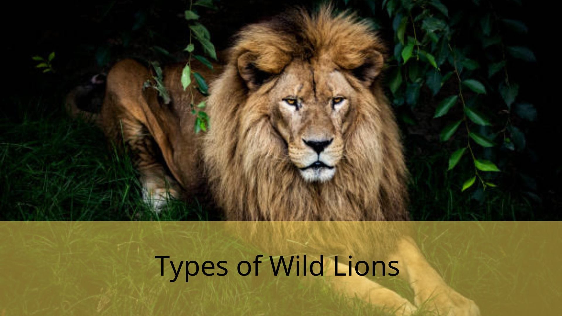 Enjoy The Wild - Outdoor activities/ Adventure/ Survival/ Travel Blog